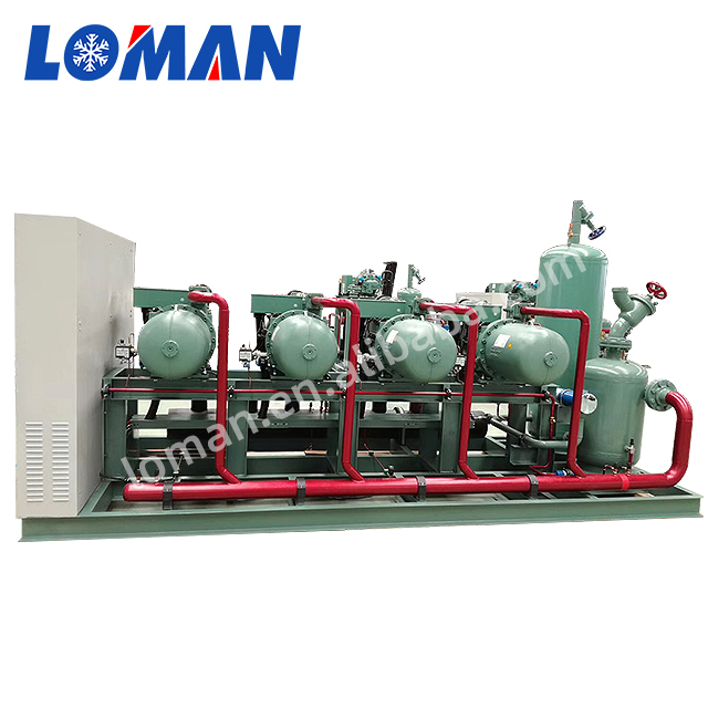 China Bitzer Semi-hermetic CSH Compact Screw Compressor units ...
