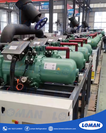 CSH Screw Parallel Cold Room Bitzer Compressor Unit - LOMAN